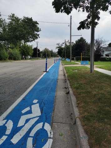 Sarnia group installs protected bike lane